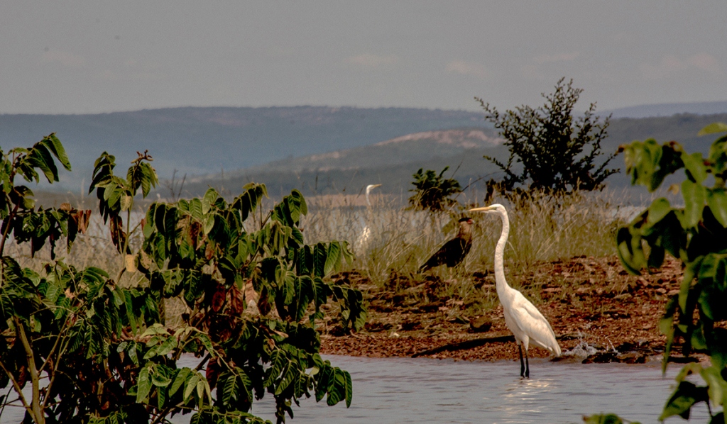 Revista Sagarana - Turismo, Cultura e Natureza em Minas Gerais